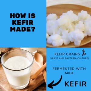 All About Kefir! - GI for Kids